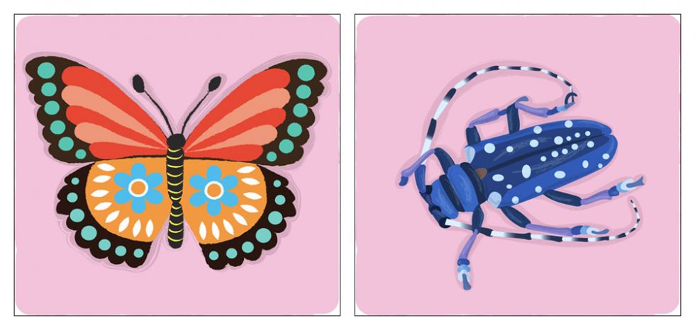 Colourful Insects Illustrations