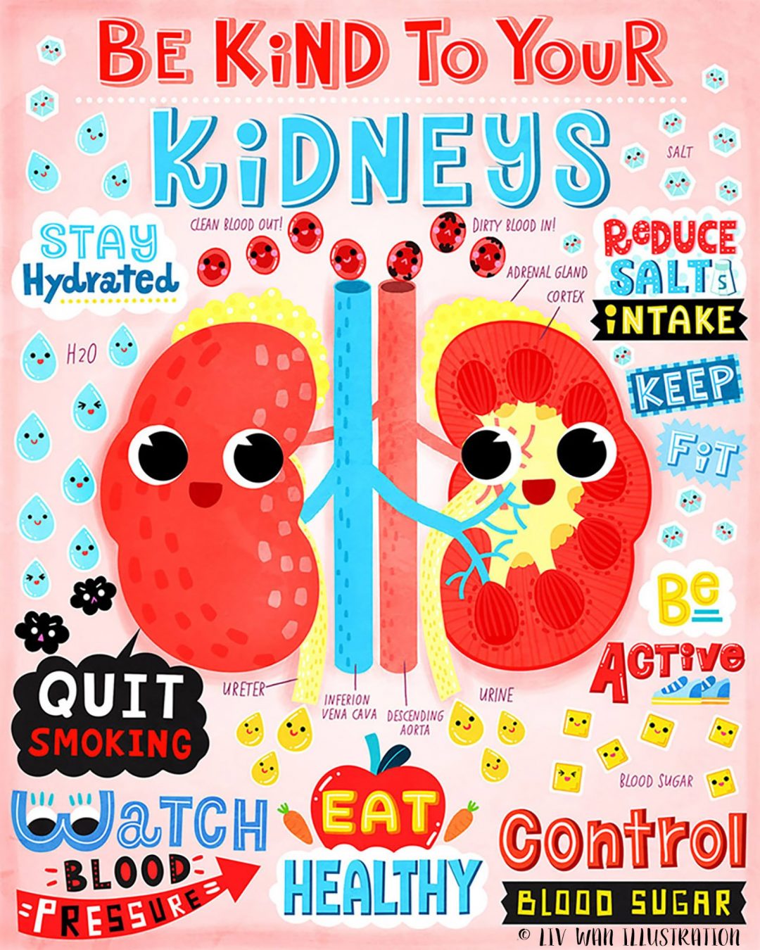 Be Kind to Your Kidneys Postcard - Be Healthy Cards